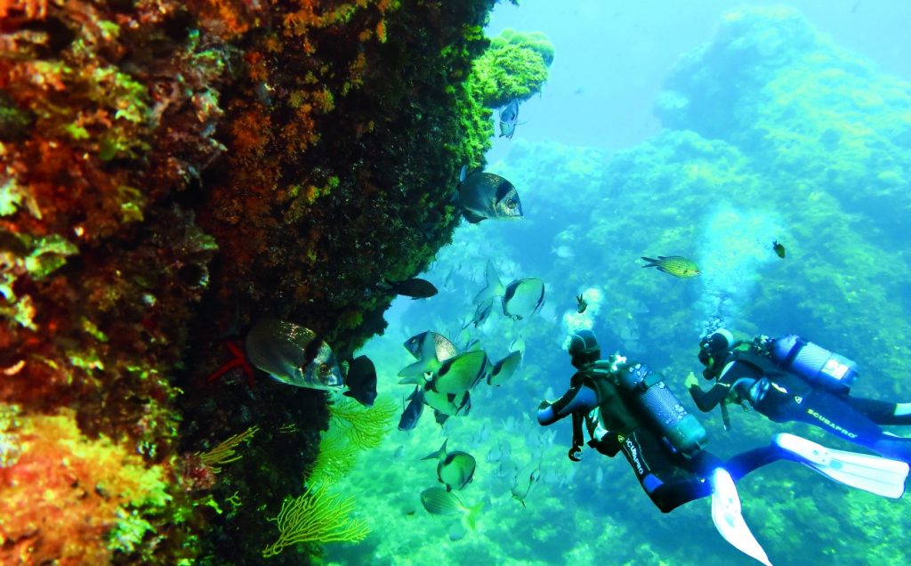 Les 10 plus beaux lieux pour pratiquer la plongée en Méditerranée ...